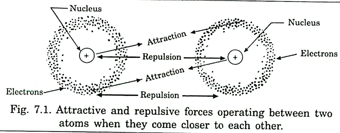 CHEMICAL BONDING | Past Papers Inside