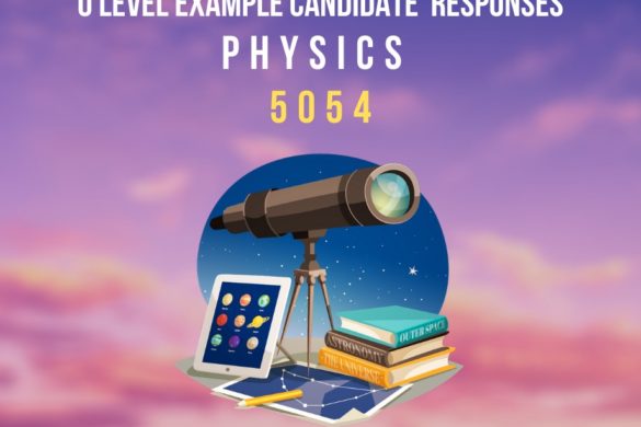 O Level Commerce (7100) | Past Papers Inside